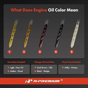 Engine Oil Colour Chart Explained (2026) – From Amber to Black, Solution